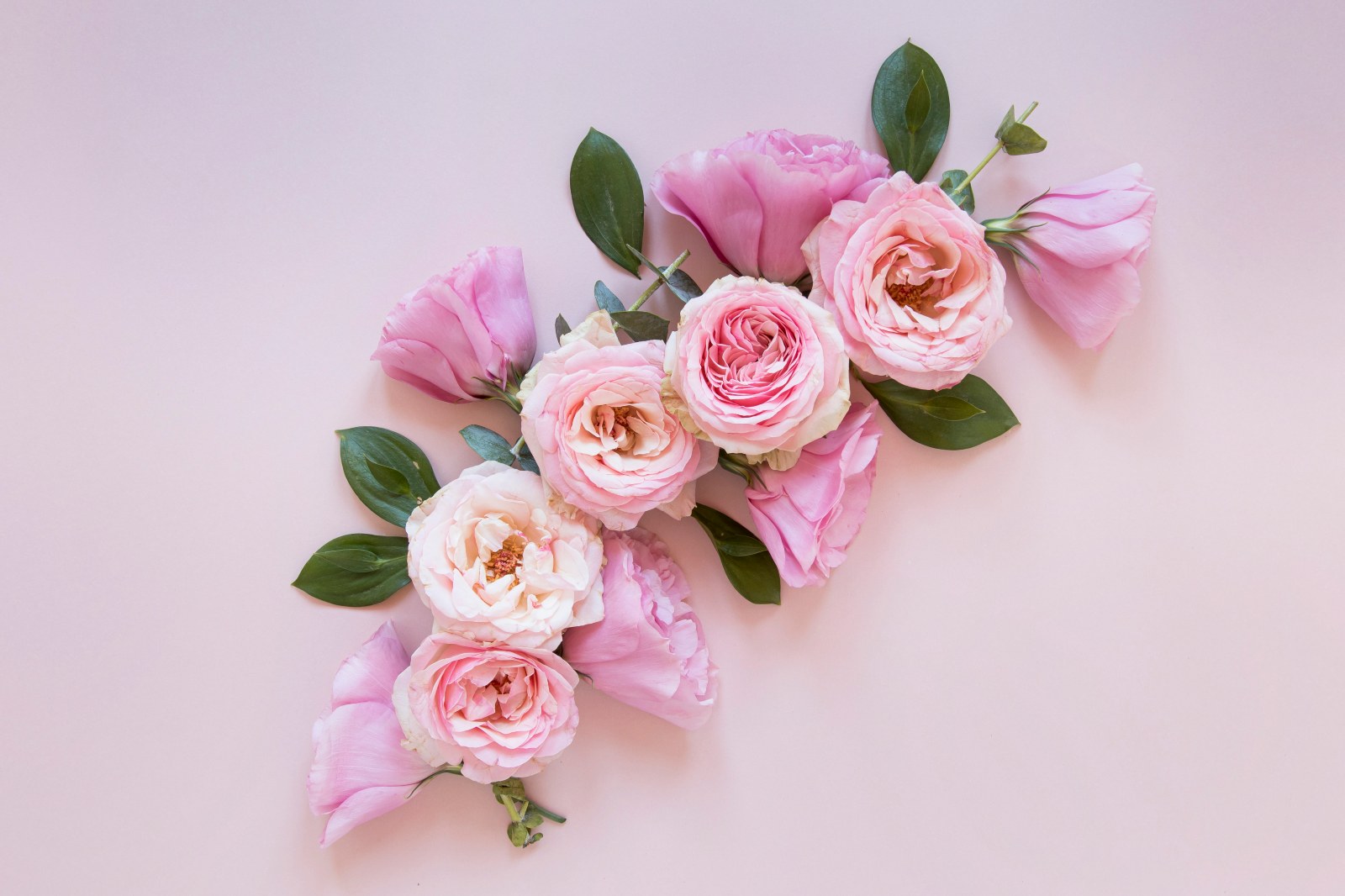 33 Beautiful Flowers That Represent Gratitude And Appreciation – The ...