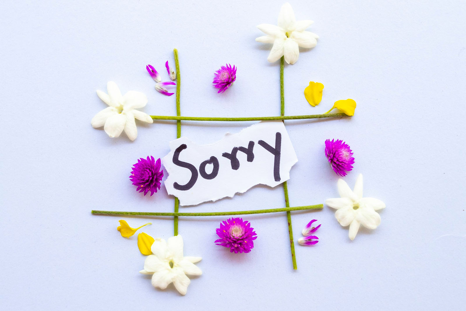 13 Apology Flowers: Various Ways To Say You're Sincerely Sorry – The ...