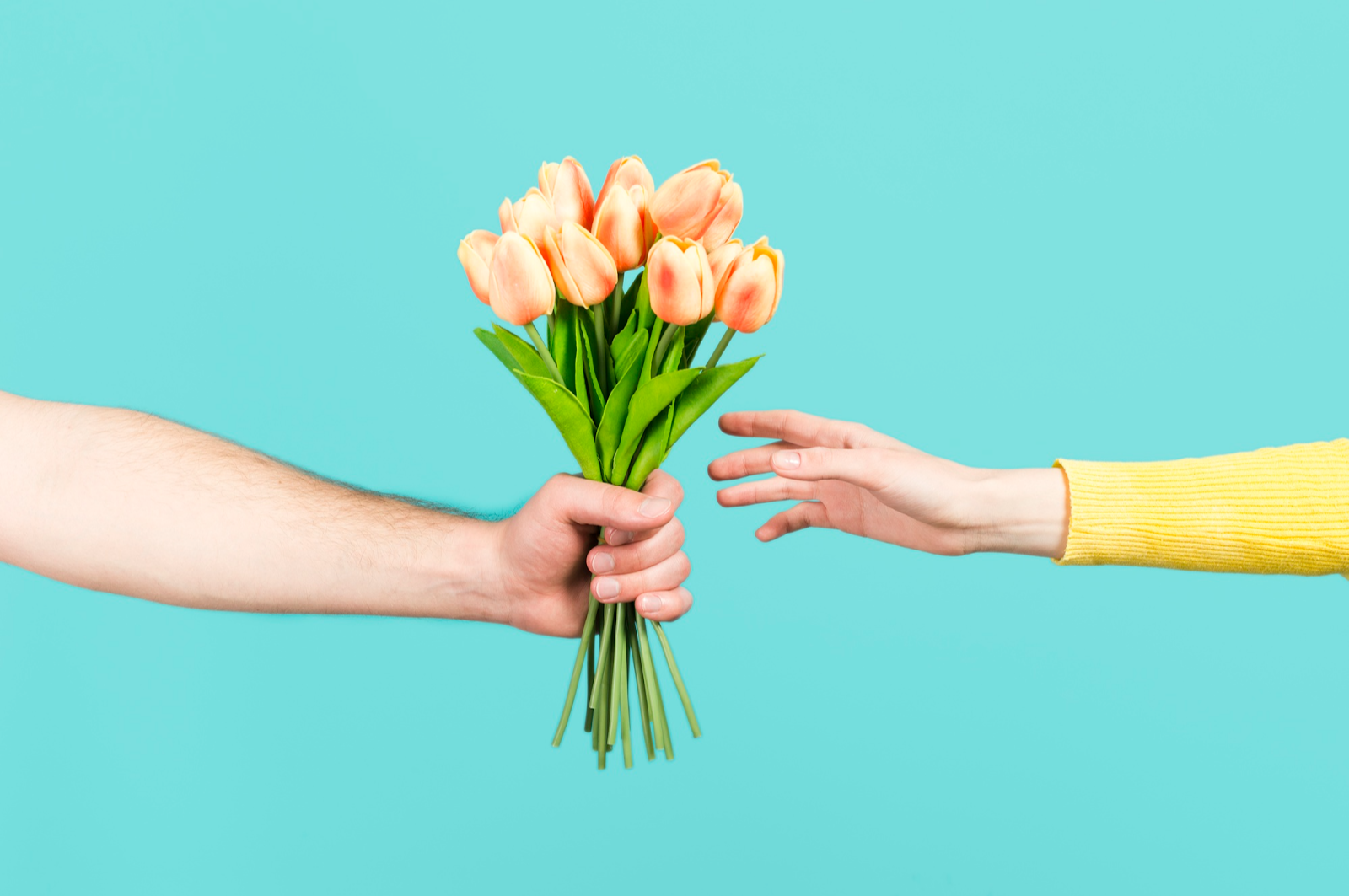 What Flower Represents Friendship? 12 Flowers And Their Meanings – The ...