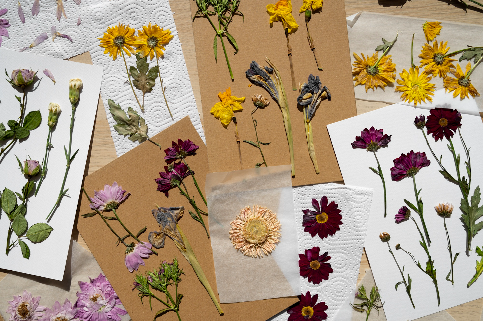 How To Make A Flower Press? 4 Easy Ways For Beginners – The Daily Blooms