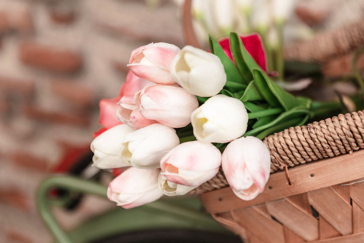 12 Interesting Facts About Tulips: History, Symbolisms, And More – The ...