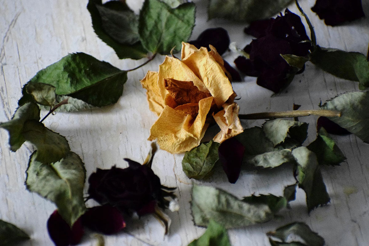 What To Do With Wilted Flowers (17 Ways To Revive Them!) – The Daily Blooms