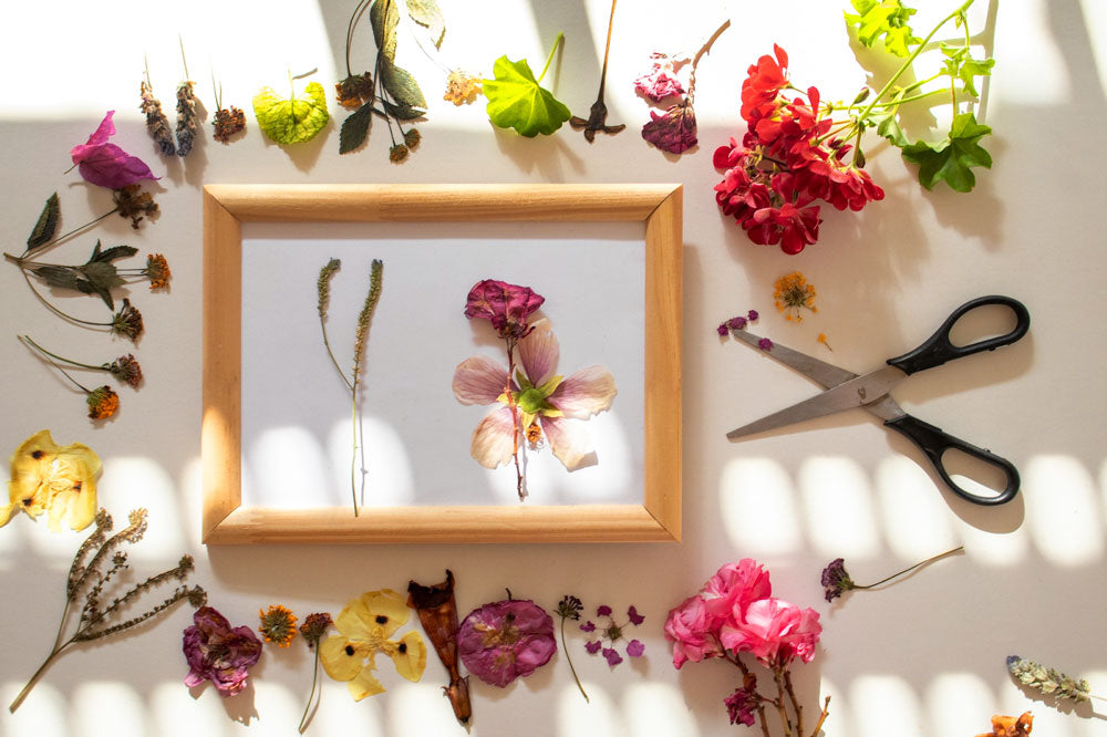 10 Pressed Flower Art Ideas To Preserve Your Favourite Blooms – The ...