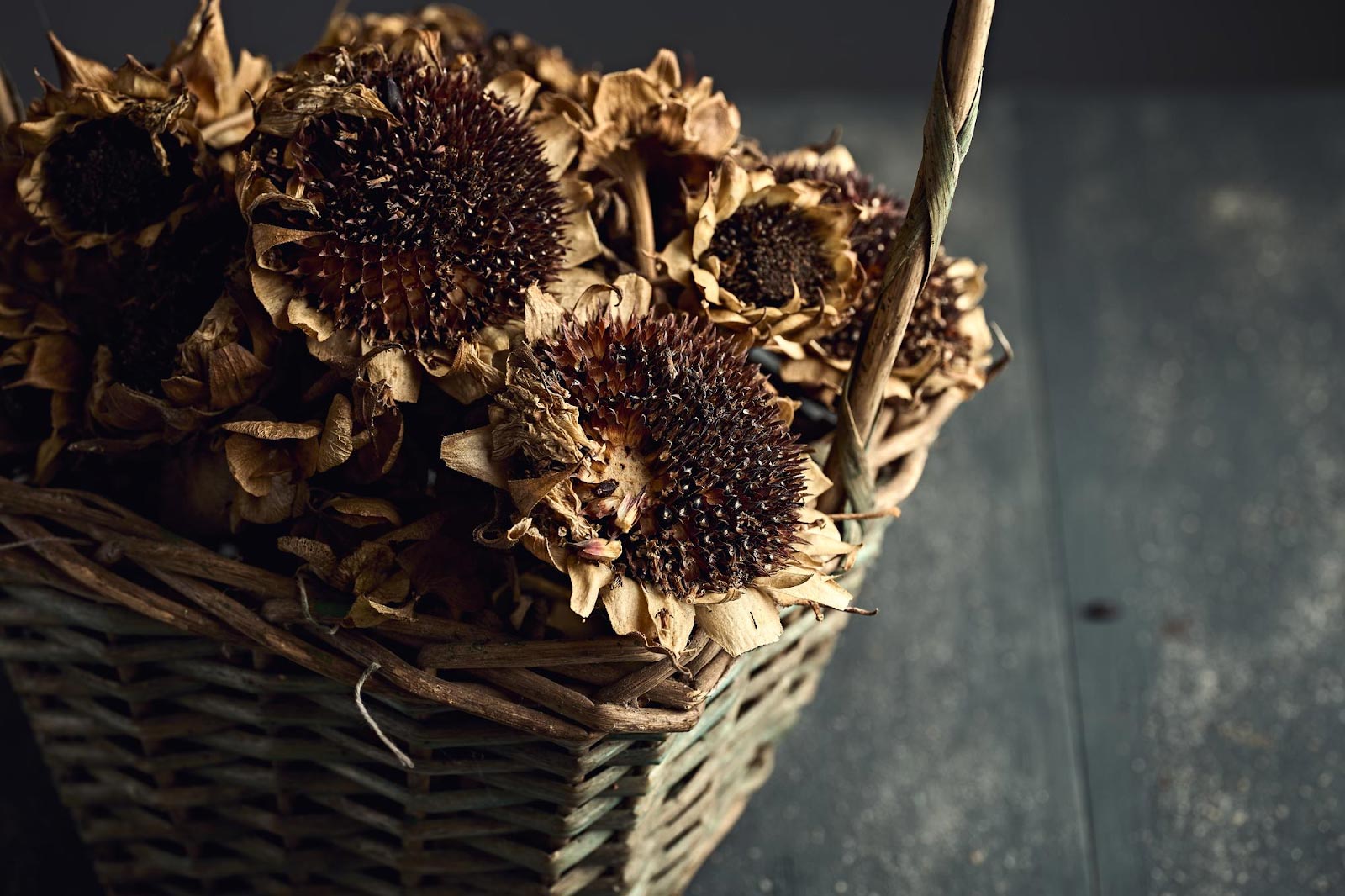 How To Dry Sunflowers: 4 Ways To Preserve Their Beauty – The Daily Blooms