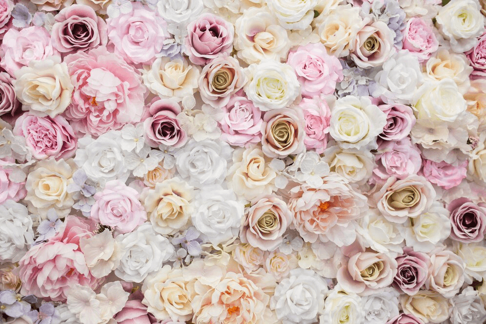 Understanding Each Rose Colour Meanings: 7 Roses And Its Message – The ...